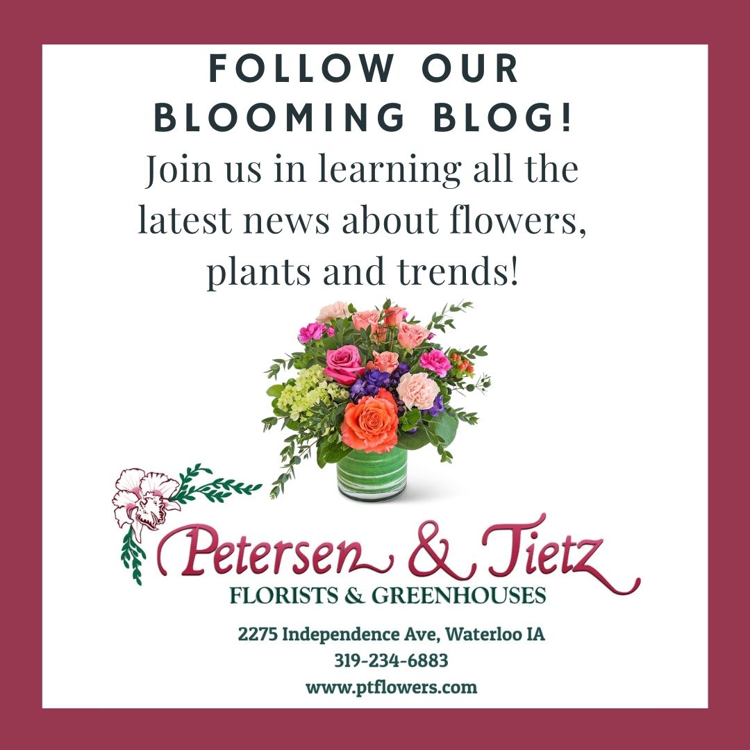 Welcome to Our Blooming Blog! | Petersen & Tietz Florists & Greenhouses ...