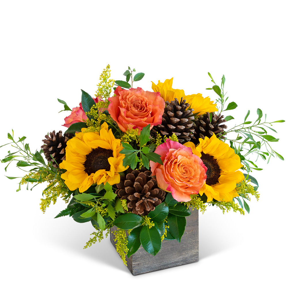 Waterloo Florist with Same-Day Delivery | Petersen & Tietz Florists ...